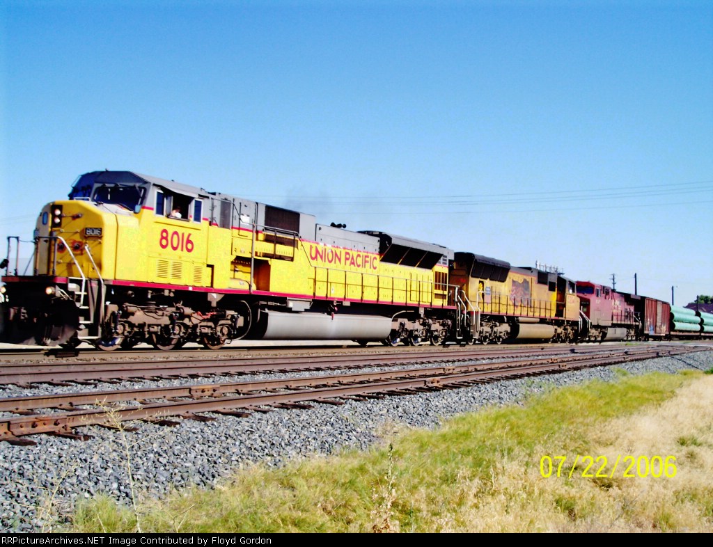 UP 8016 LEADS PIPE UNIT TRAIN